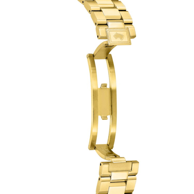 Jaguar Acamar - J1044/2 - Helen Kirchhofer by Luxoia